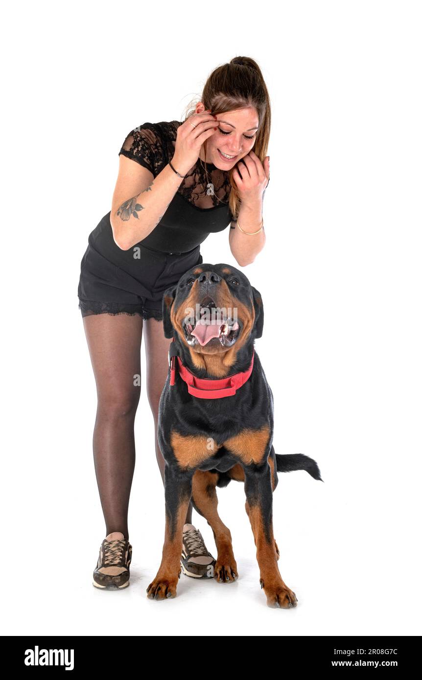 purebred rottweiler and woman in front of white background Stock Photo ...