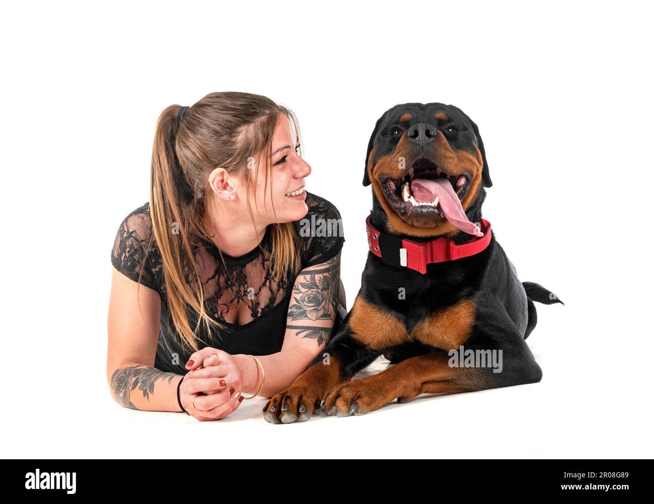 purebred rottweiler and woman in front of white background Stock Photo ...