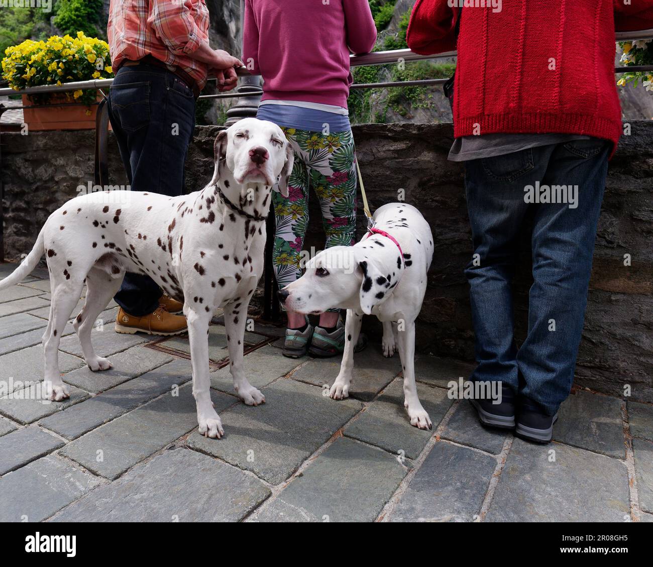 Italy cute hi-res stock photography and images - Alamy