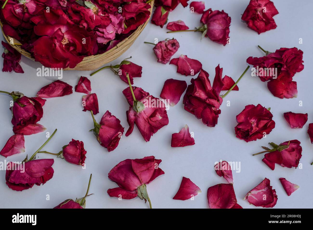 Beautiful stock image of Fresh Red rose petals background Stock Photo ...