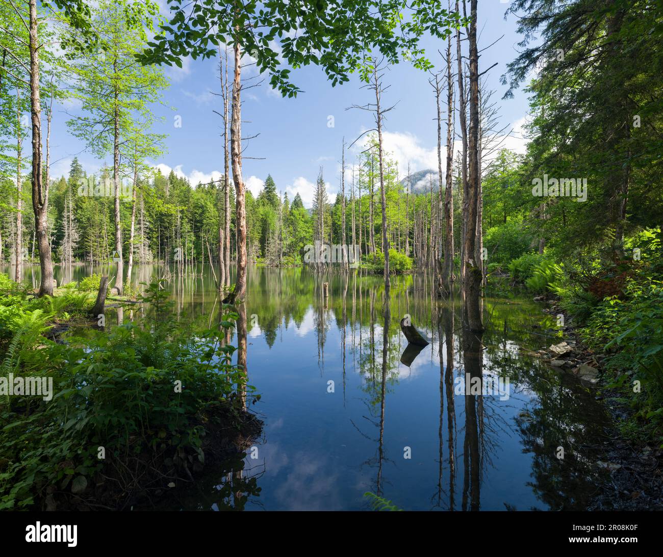 Borcka Karagol ( Karagöl) nature park. Turkey's most popular travel ...