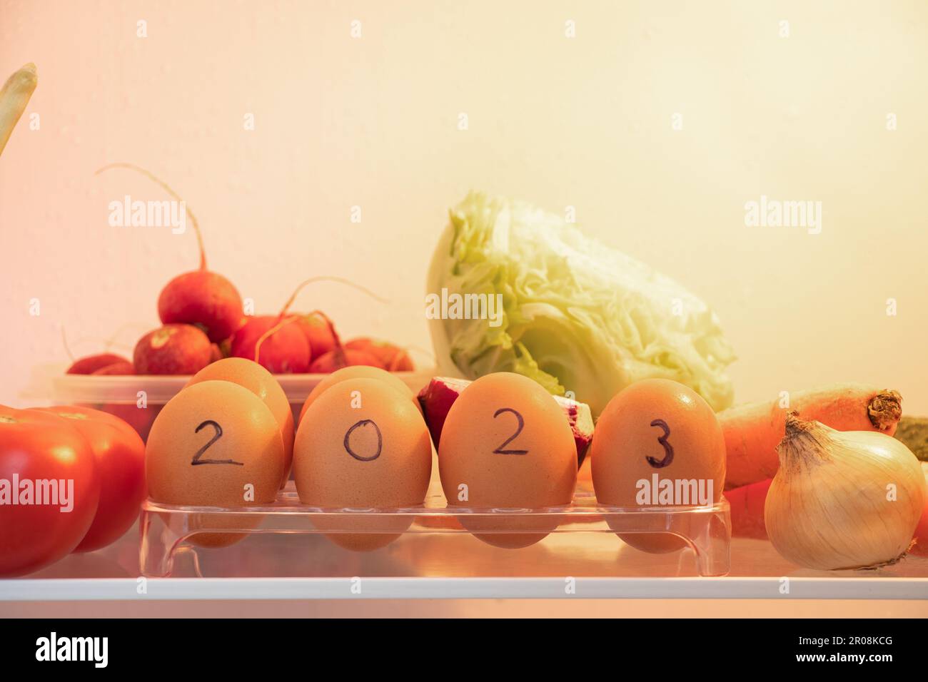 2023 is written on the eggs that lie on the shelves in the refrigerator ...