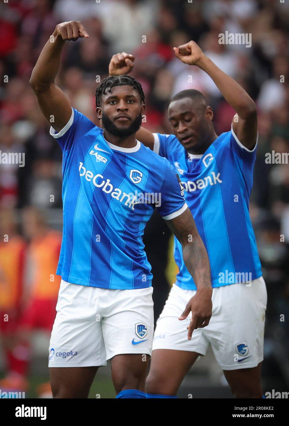 Genk's Mark McKenzie celebrates after scoring during a soccer match ...