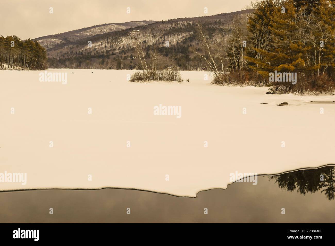 Largemouth bass lake hi-res stock photography and images - Alamy