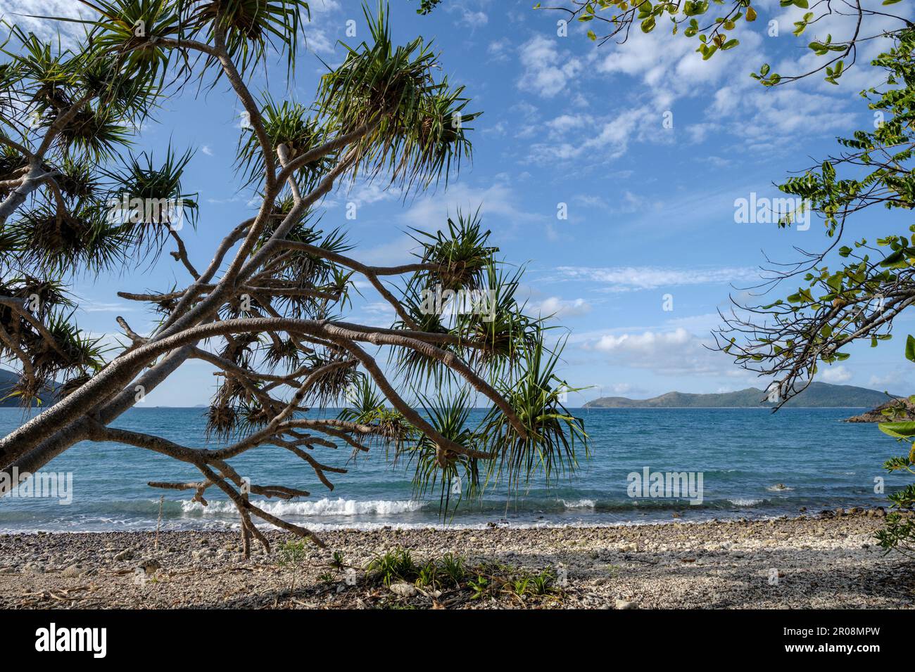 Conway national park queensland hi-res stock photography and images - Alamy
