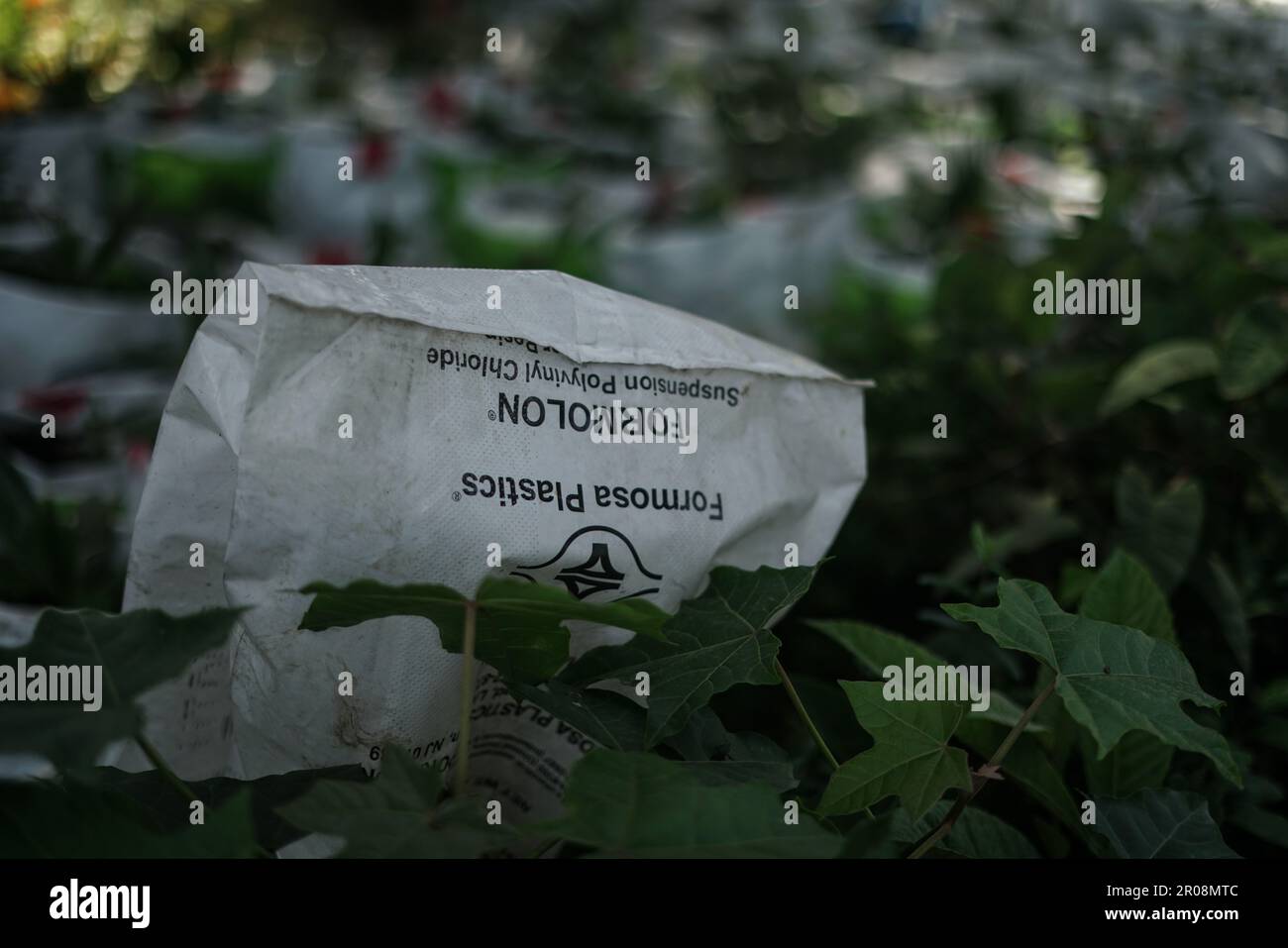 A Formosa Plastics packaging covering a tree seedling at a nursery in ...