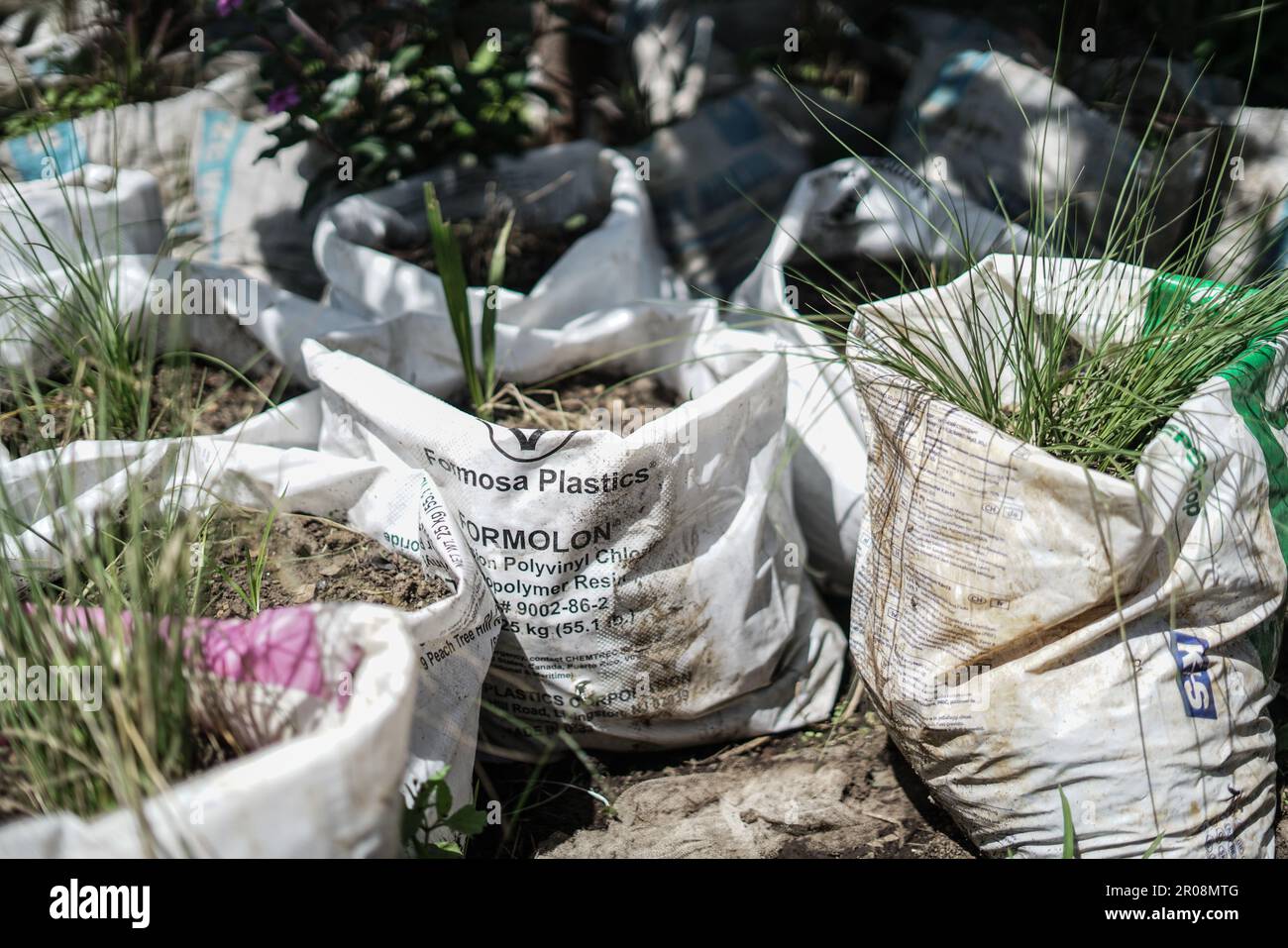 A general view of tree seedlings propagated using Formosa Plastic's ...