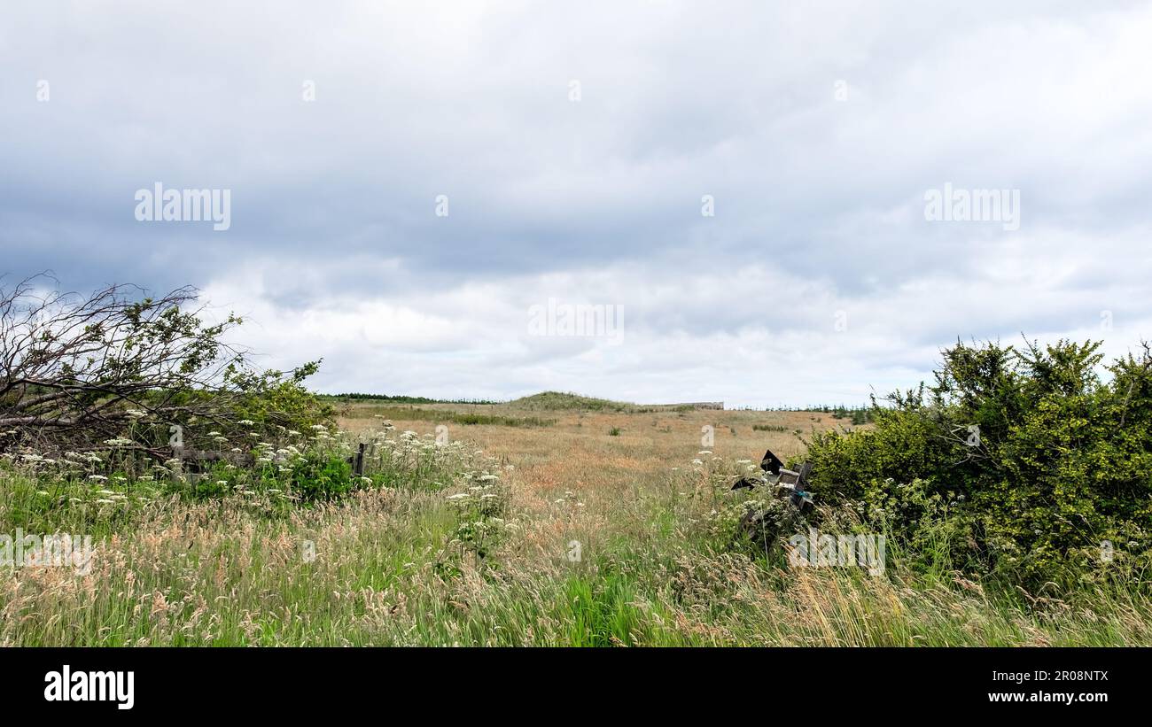 Rumster broch hi-res stock photography and images - Alamy