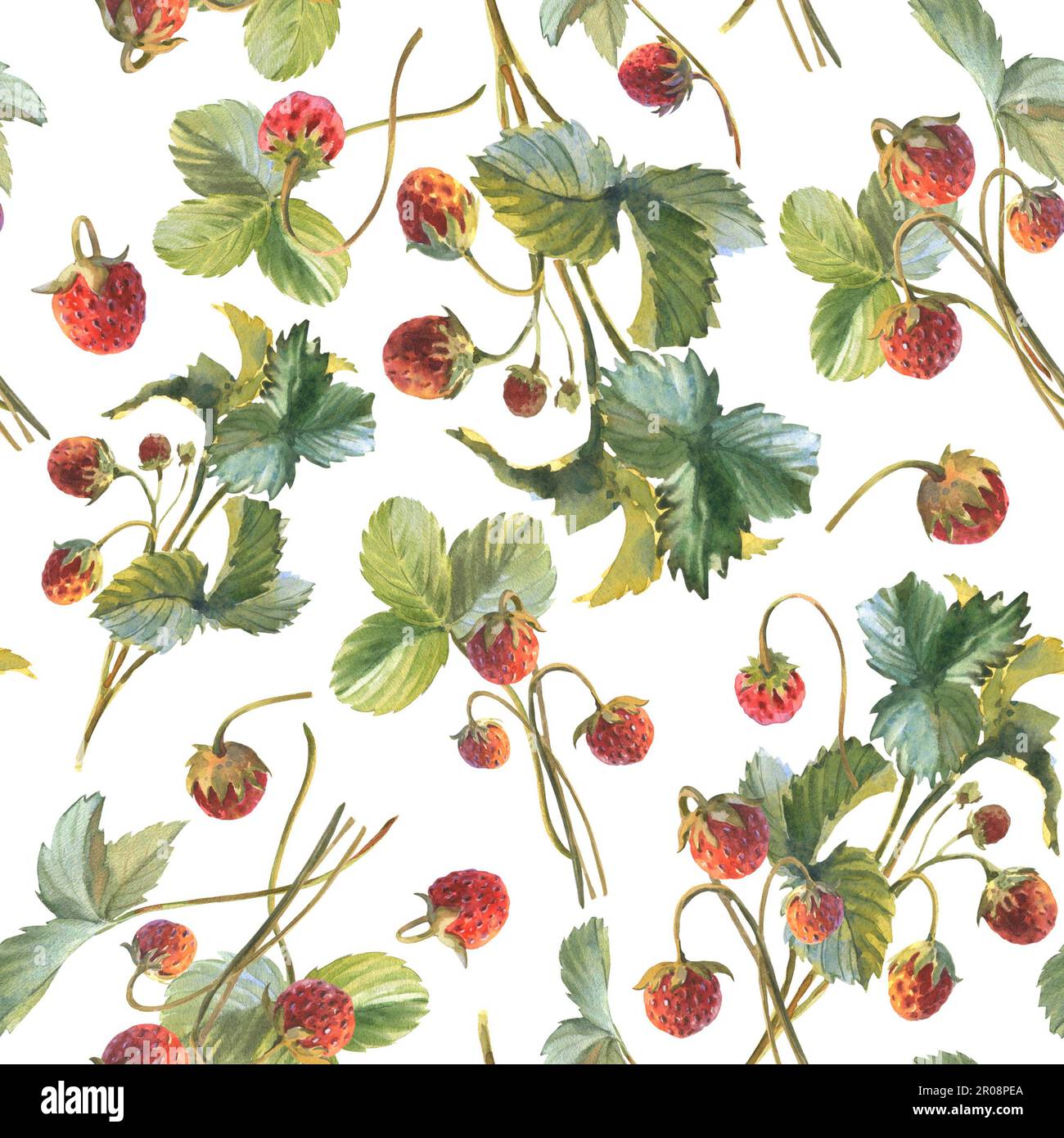 Strawberry seamless pattern with watercolor illustrations of berries ...