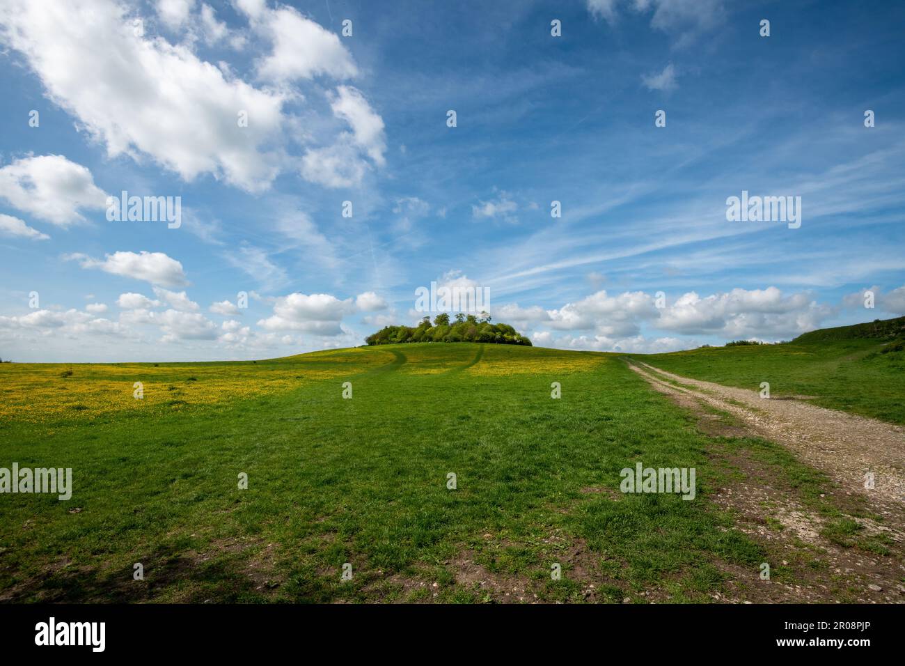 Chiltern woodland burial hi-res stock photography and images - Alamy