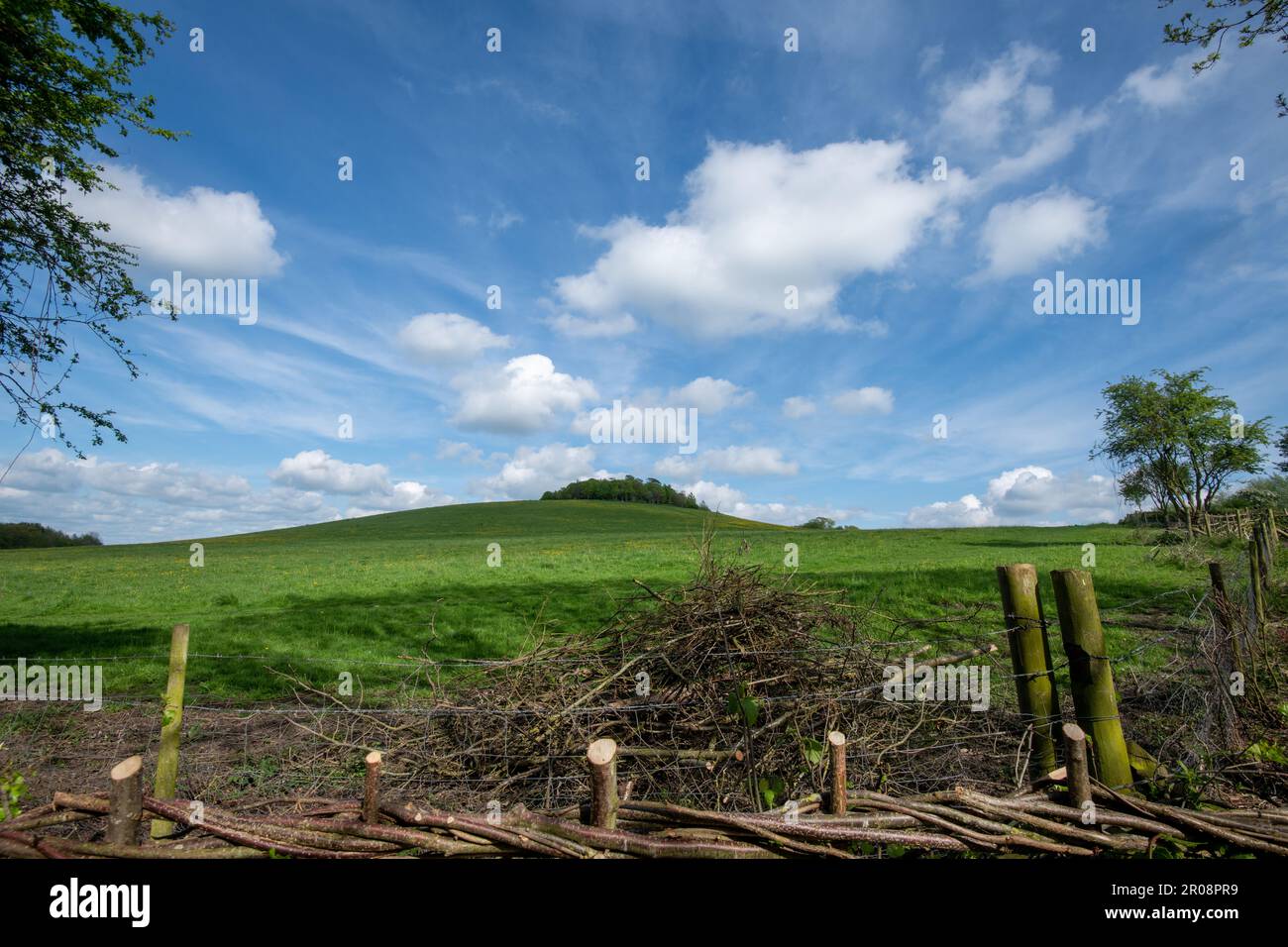 Chiltern woodland burial hi-res stock photography and images - Alamy