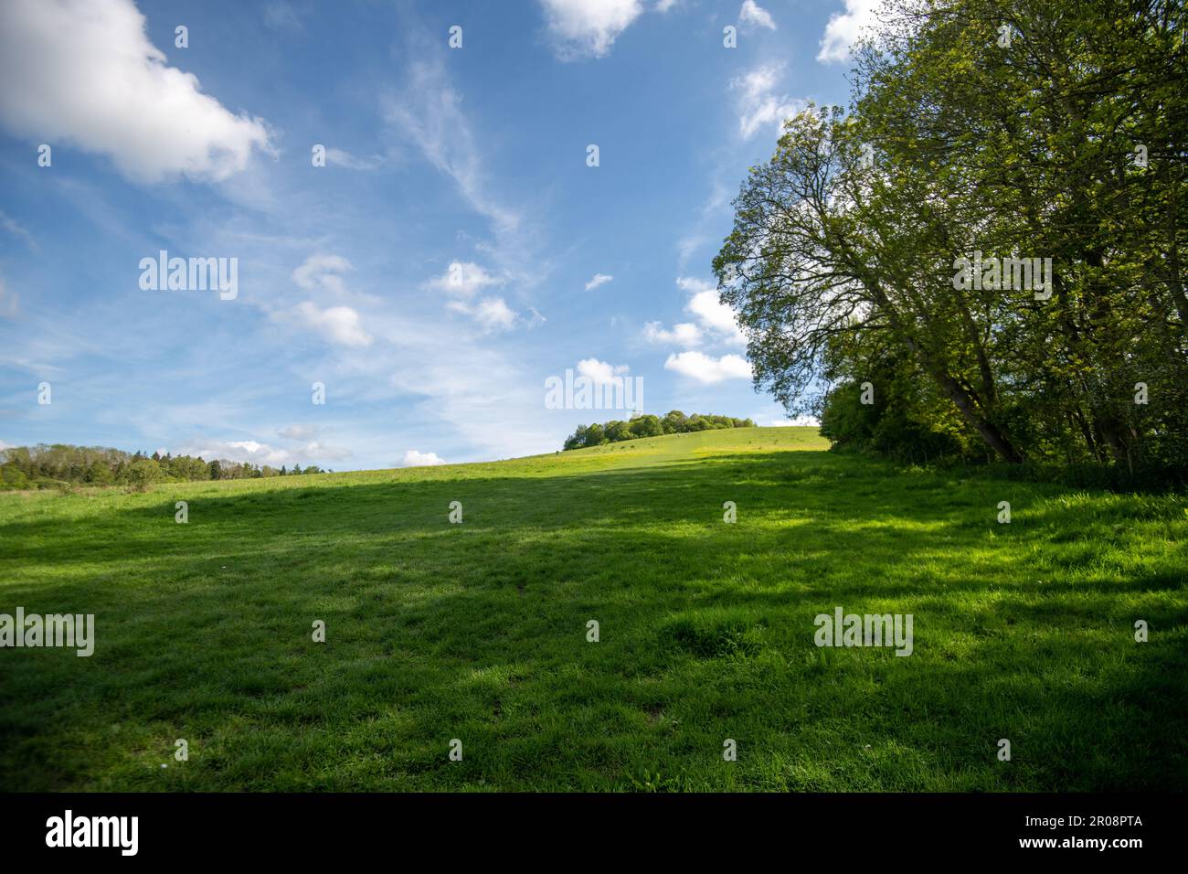 Chiltern woodland burial hi-res stock photography and images - Alamy