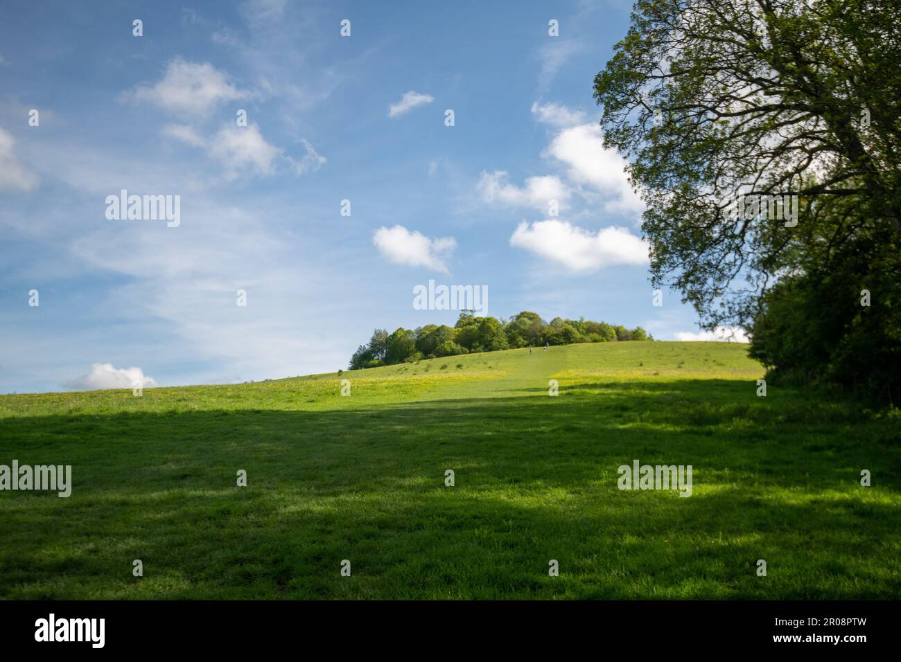 Chiltern woodland burial hi-res stock photography and images - Alamy