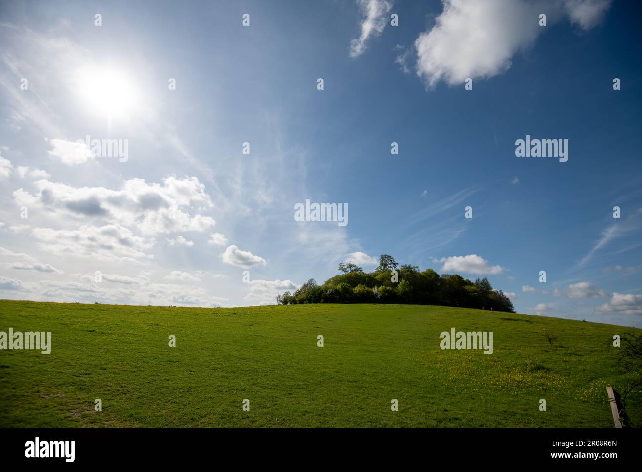 Clumps wildflowers hi-res stock photography and images - Alamy