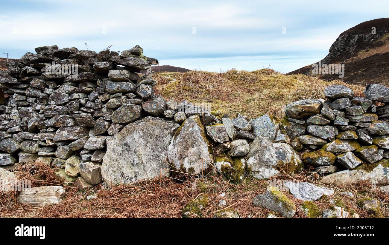 Dun buidhe 4 hi-res stock photography and images - Alamy