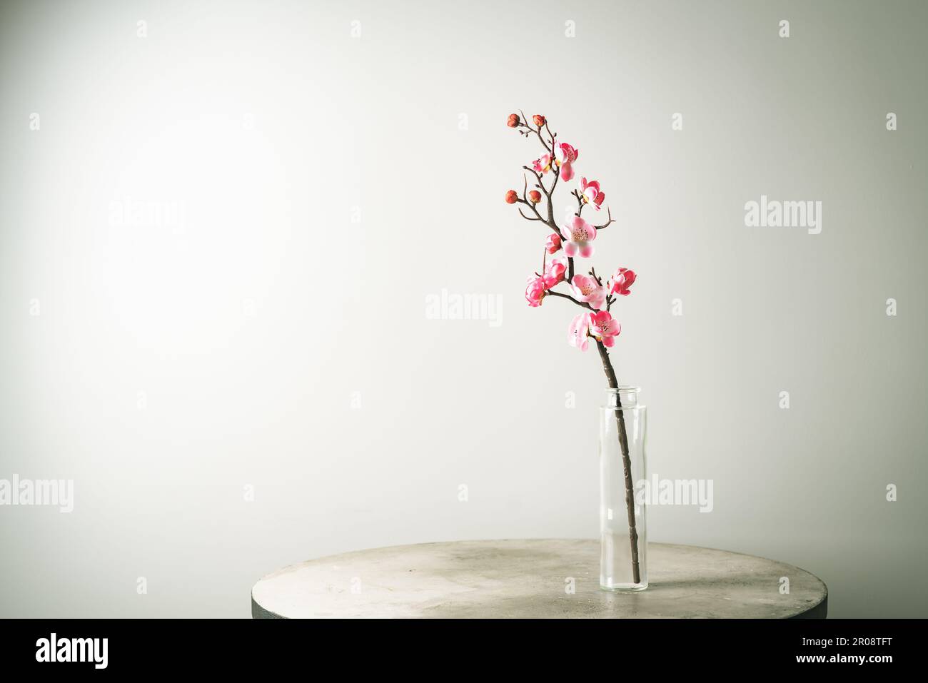 Spring flowers in glass vase Stock Photo - Alamy