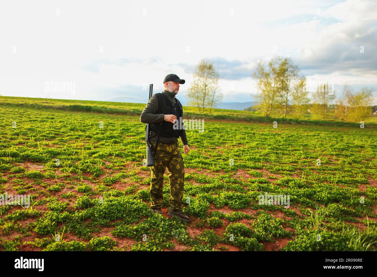 Hunter with a hunting gun on the back walking around field. Rifle ...