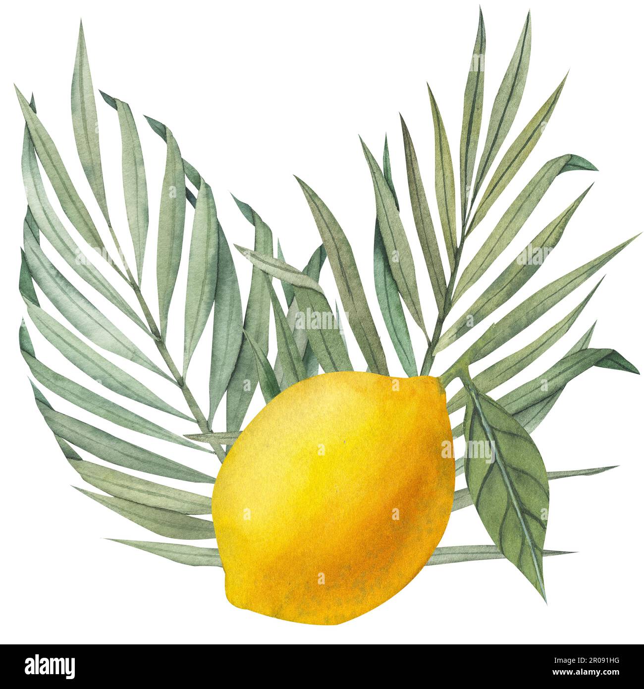 Watercolor illustration of a juicy lemon with tropical palm leaves in ...