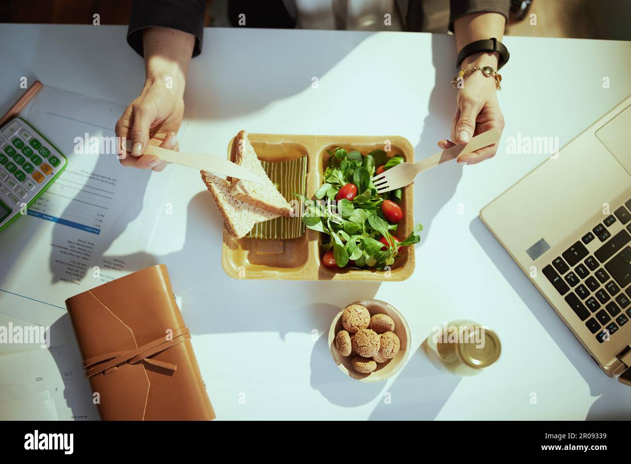 Sustainable workplace. Upper view of accountant woman in green office ...