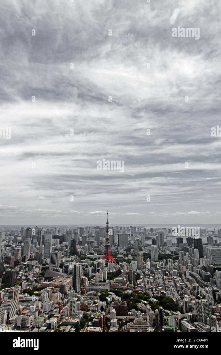 Tokyo panoramic view hi-res stock photography and images - Alamy