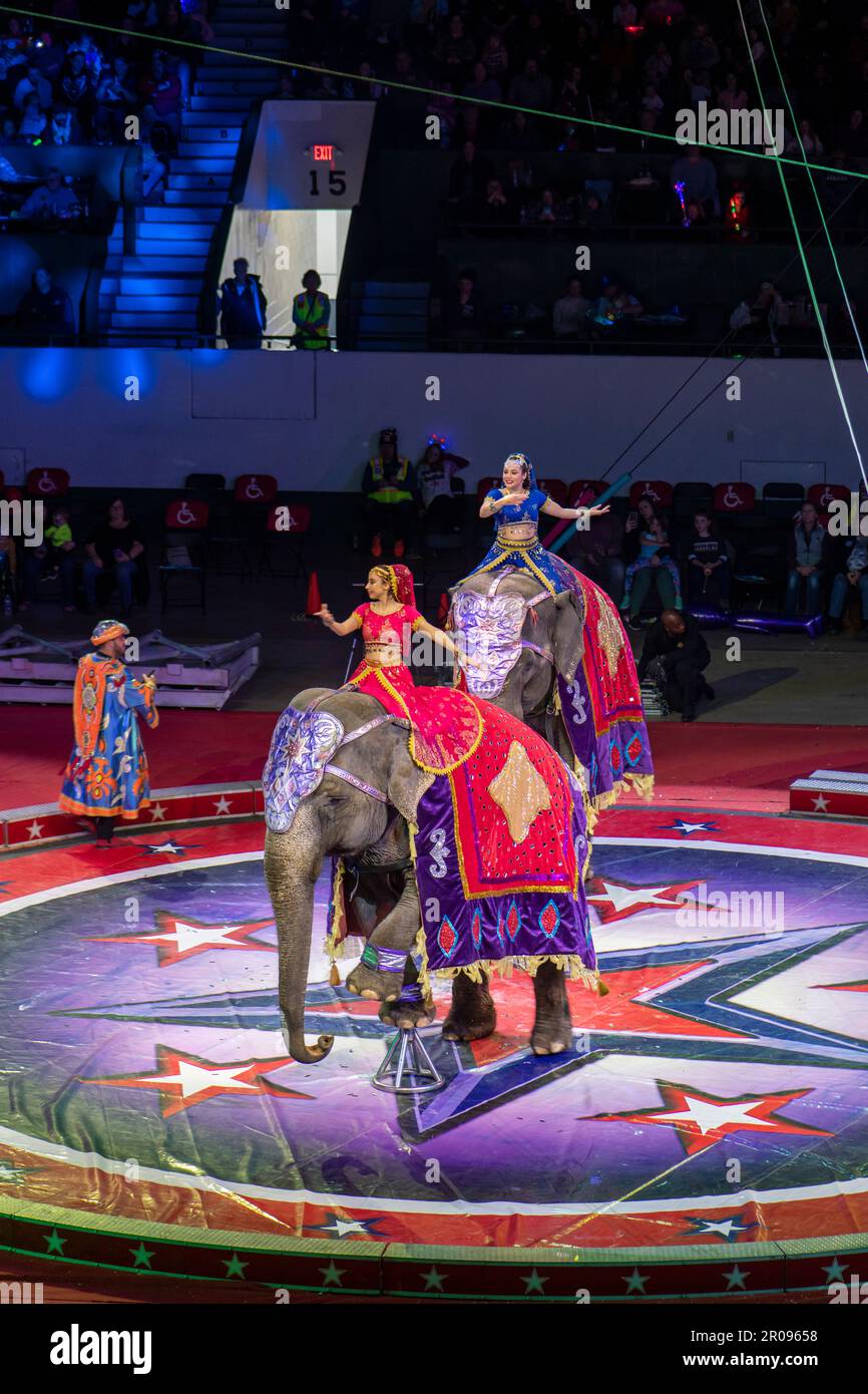 Circus performers hi-res stock photography and images - Alamy