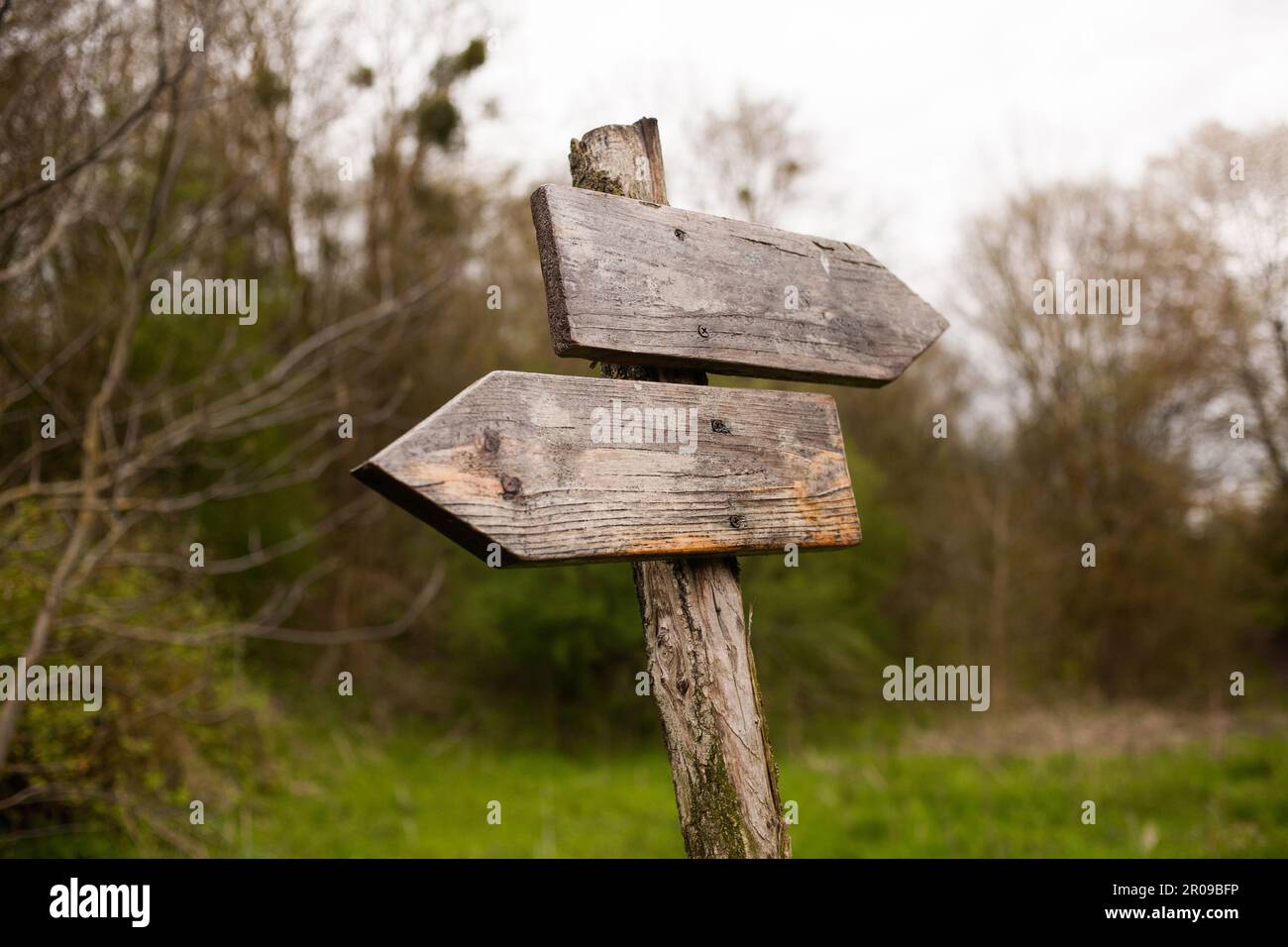 Old wooden road sign with left and right arrows. Forest road Stock ...
