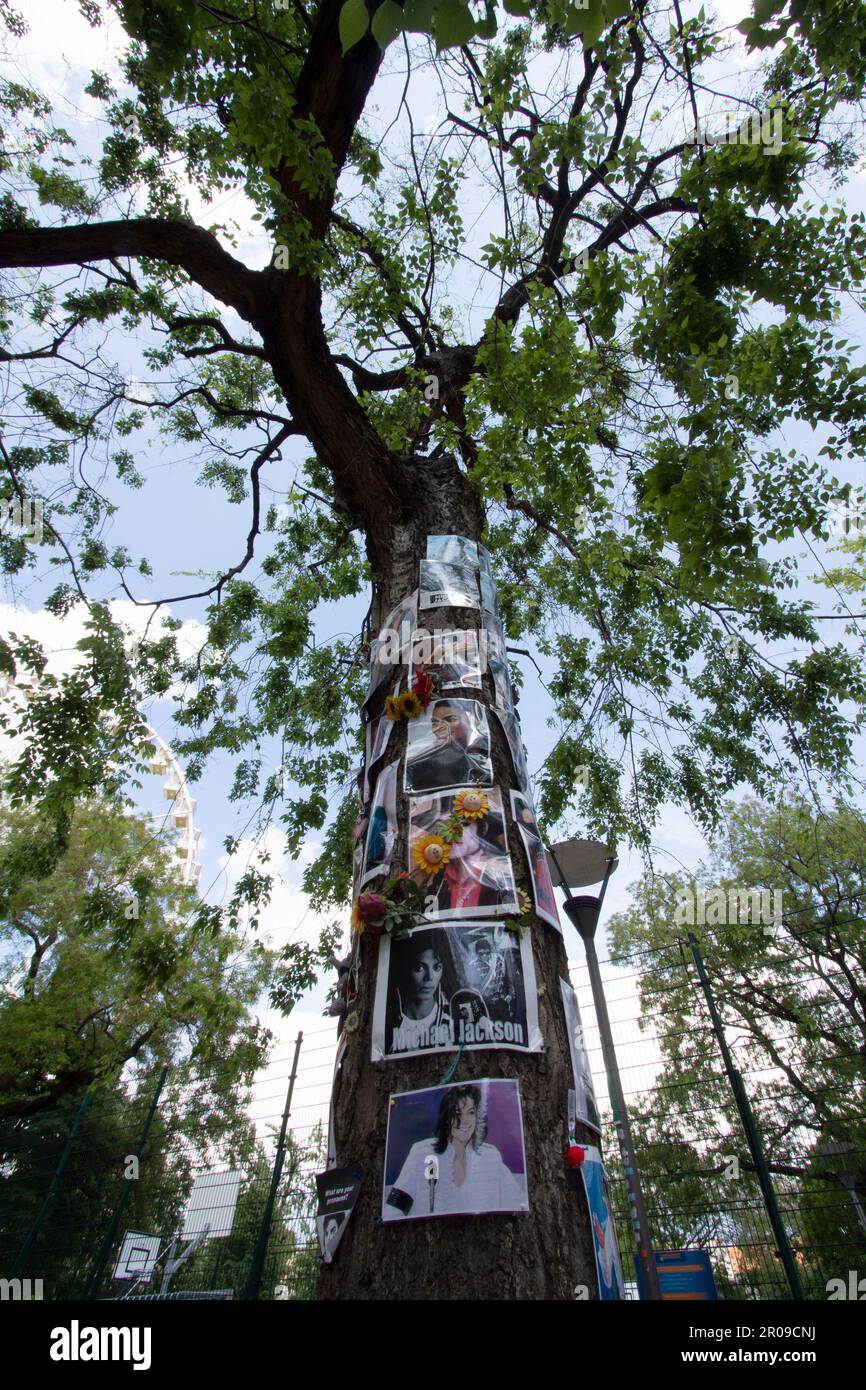 Michael jackson memorial tree hi-res stock photography and images - Alamy