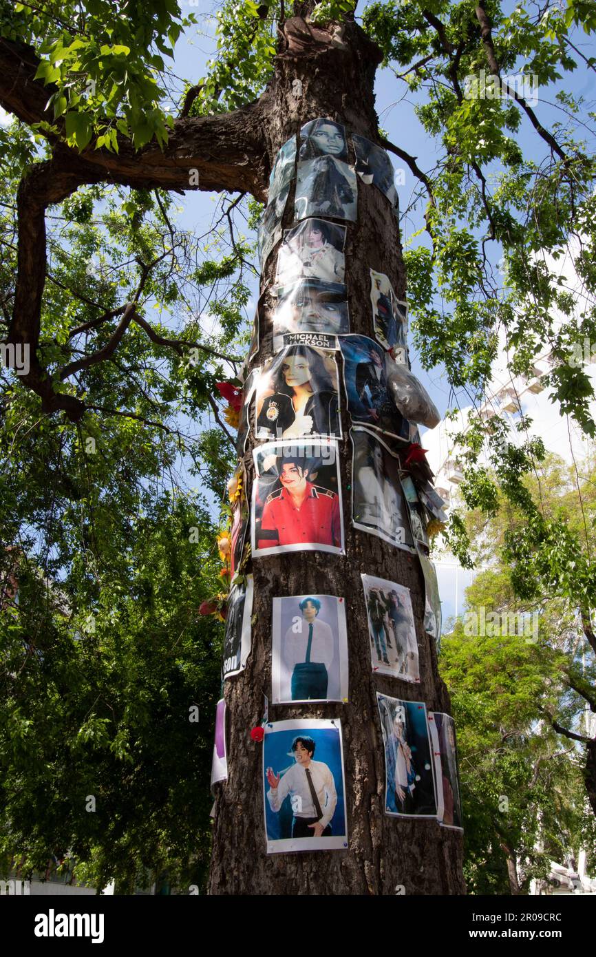 Michael jackson memorial tree hi-res stock photography and images - Alamy