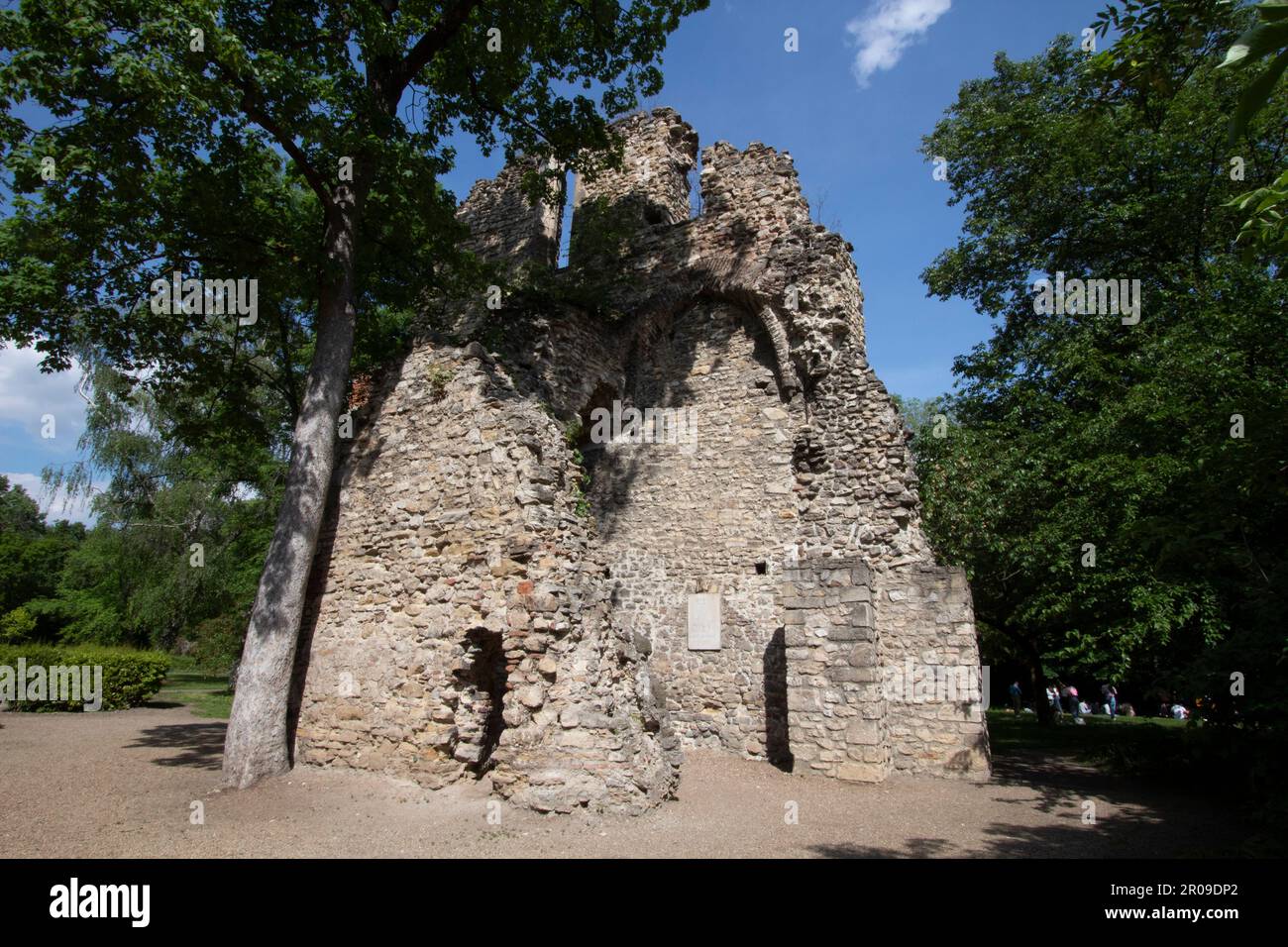 Margaret island budapest church hi-res stock photography and images - Alamy