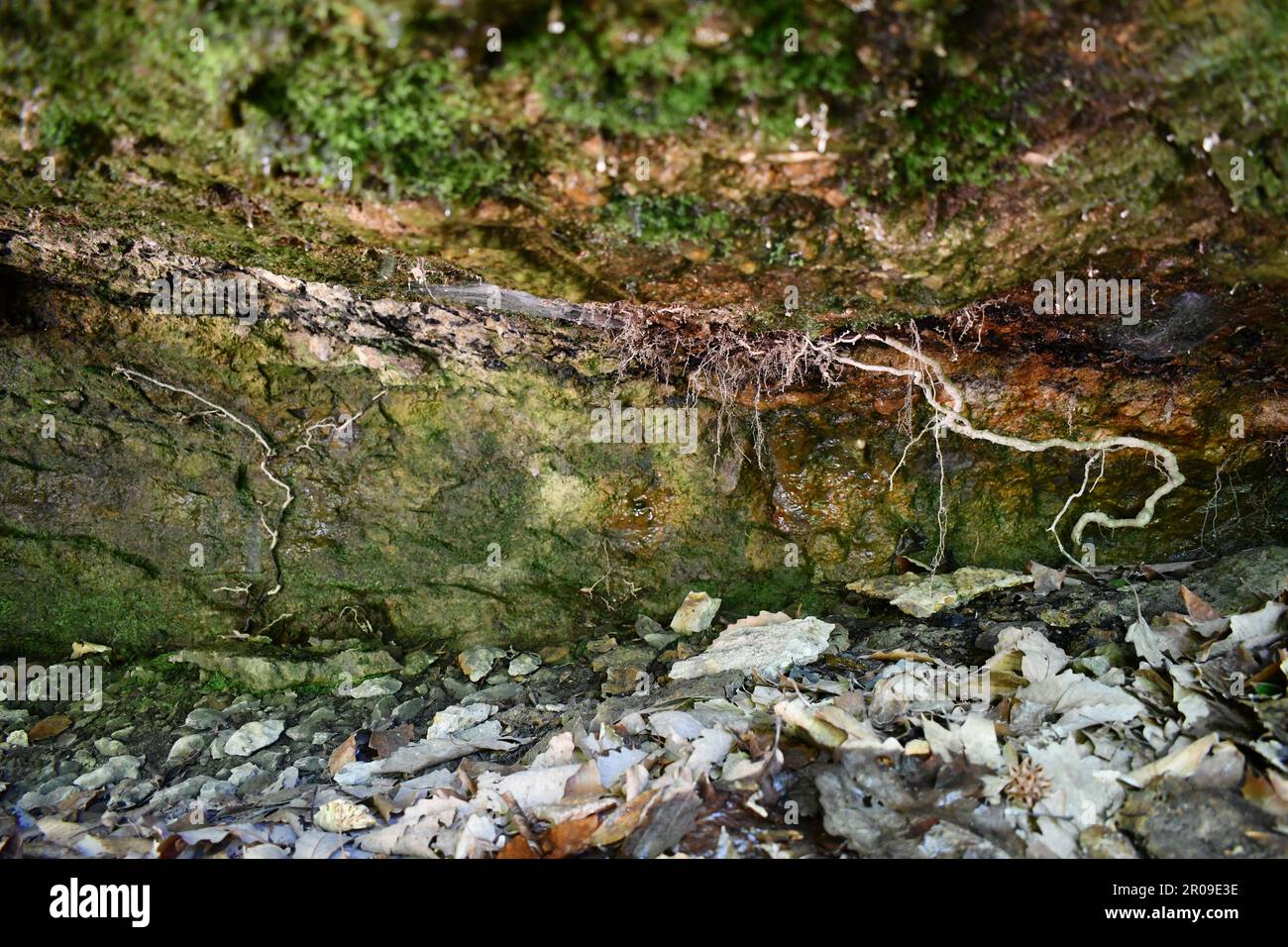 Rock cavern in the park Stock Photo - Alamy