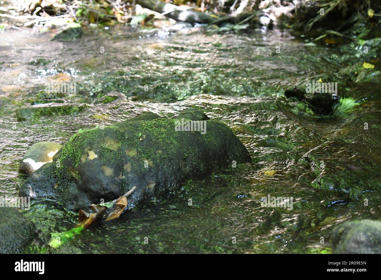 Rushing around hi-res stock photography and images - Alamy