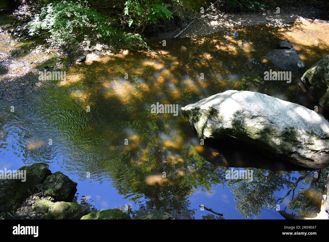 A rock in a spring pool Stock Photo - Alamy
