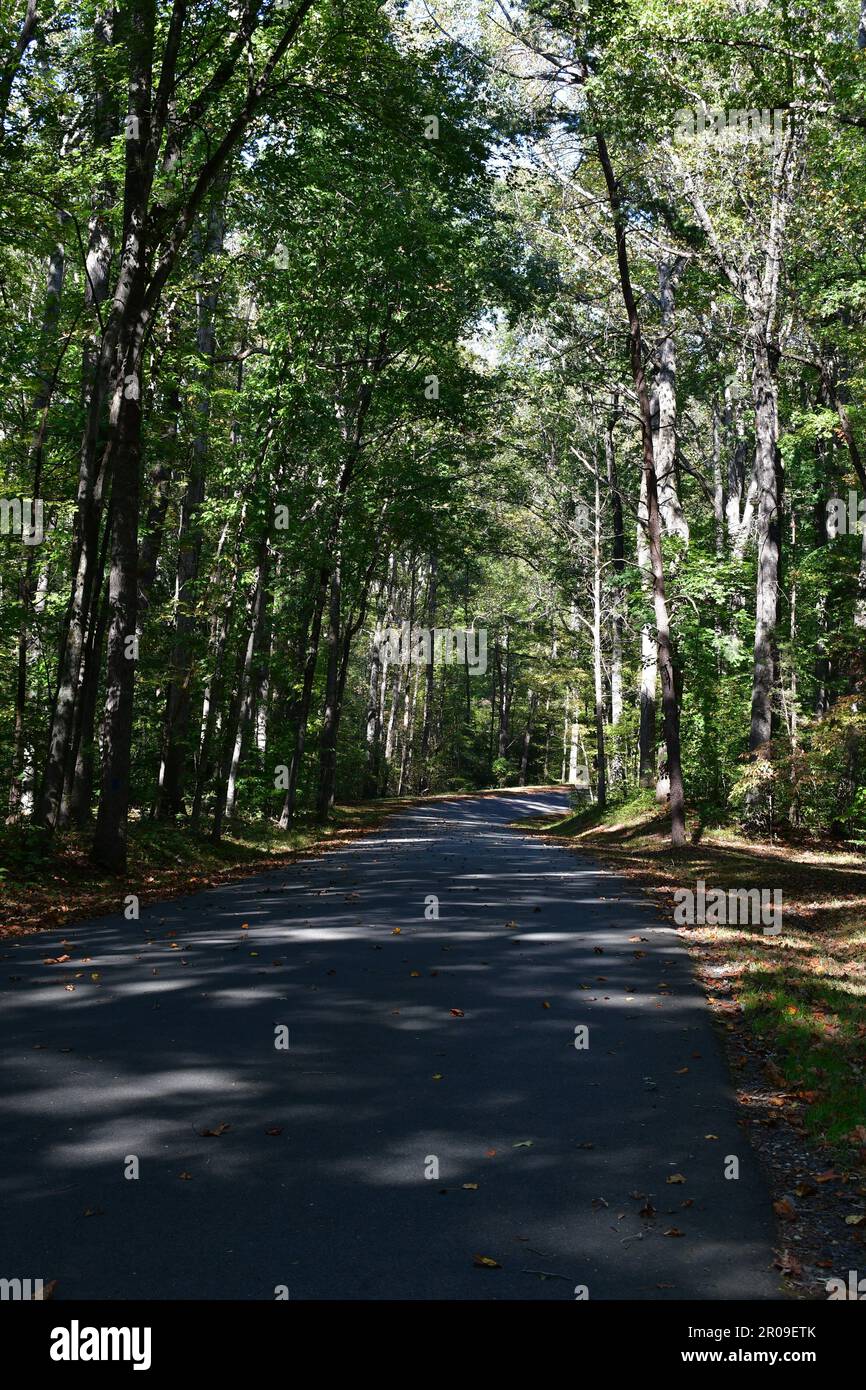 A winding road on an early fall day in the woods Stock Photo - Alamy