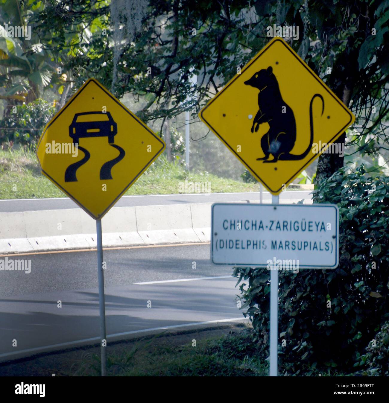 Usa. 23rd Feb, 2023. Warning signs about animals are on the highways ...