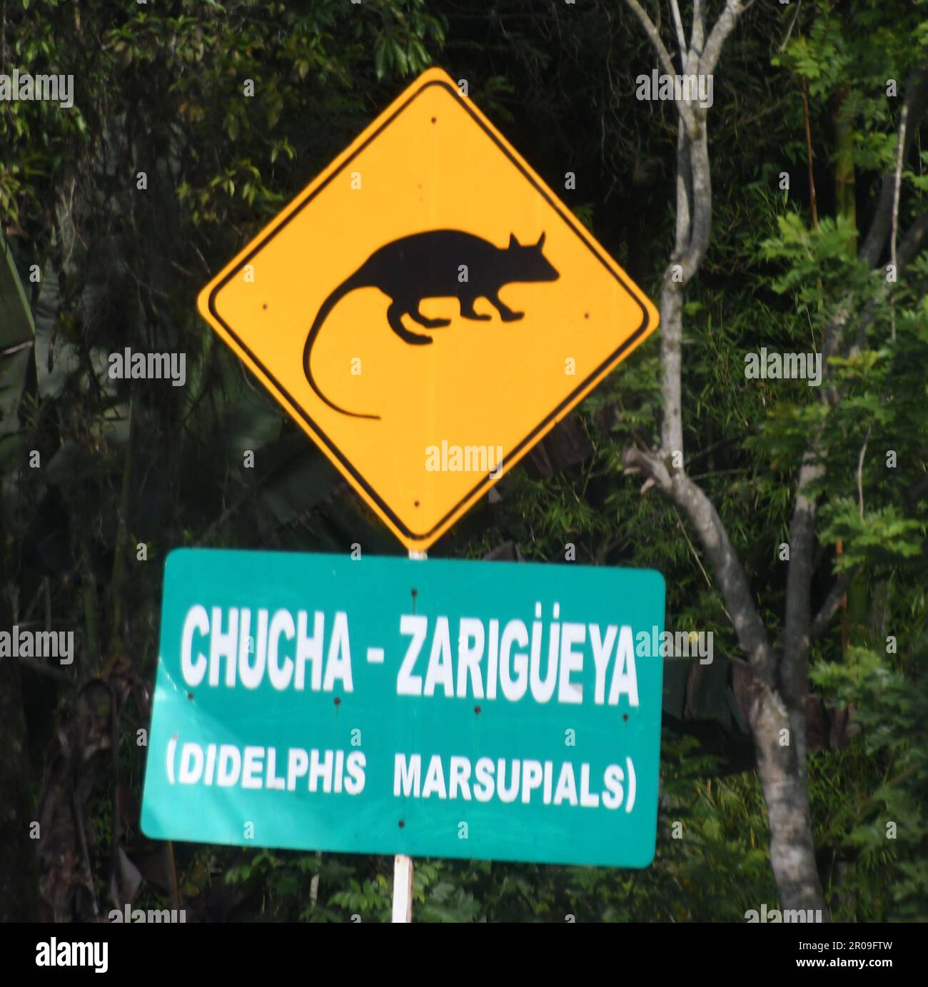 Usa. 23rd Feb, 2023. Warning signs about animals are on the highways ...