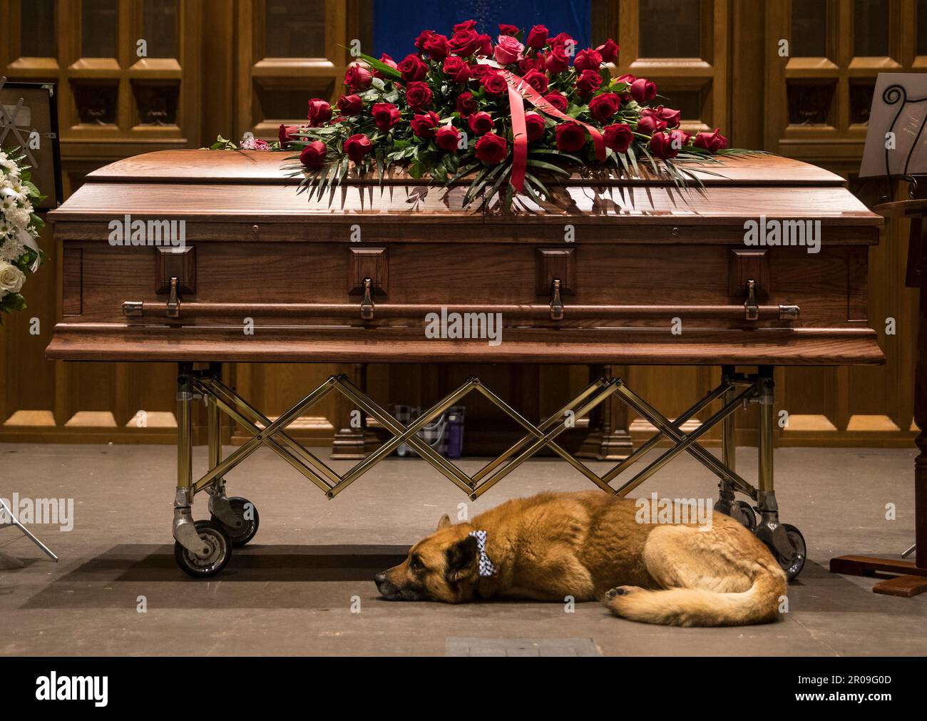 A dog named Taurus lies by the casket at the public visitation for ...