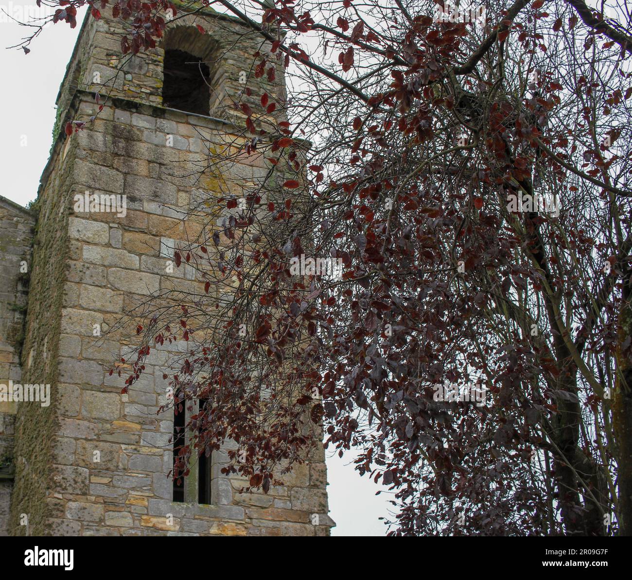 the tower of a romantic cathedral in Foz, Galicia Stock Photo - Alamy
