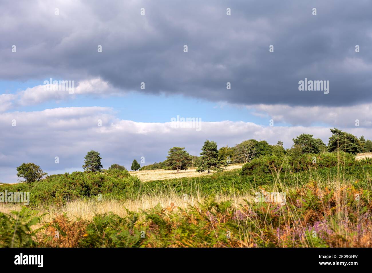 Ashdown forest view hi-res stock photography and images - Alamy