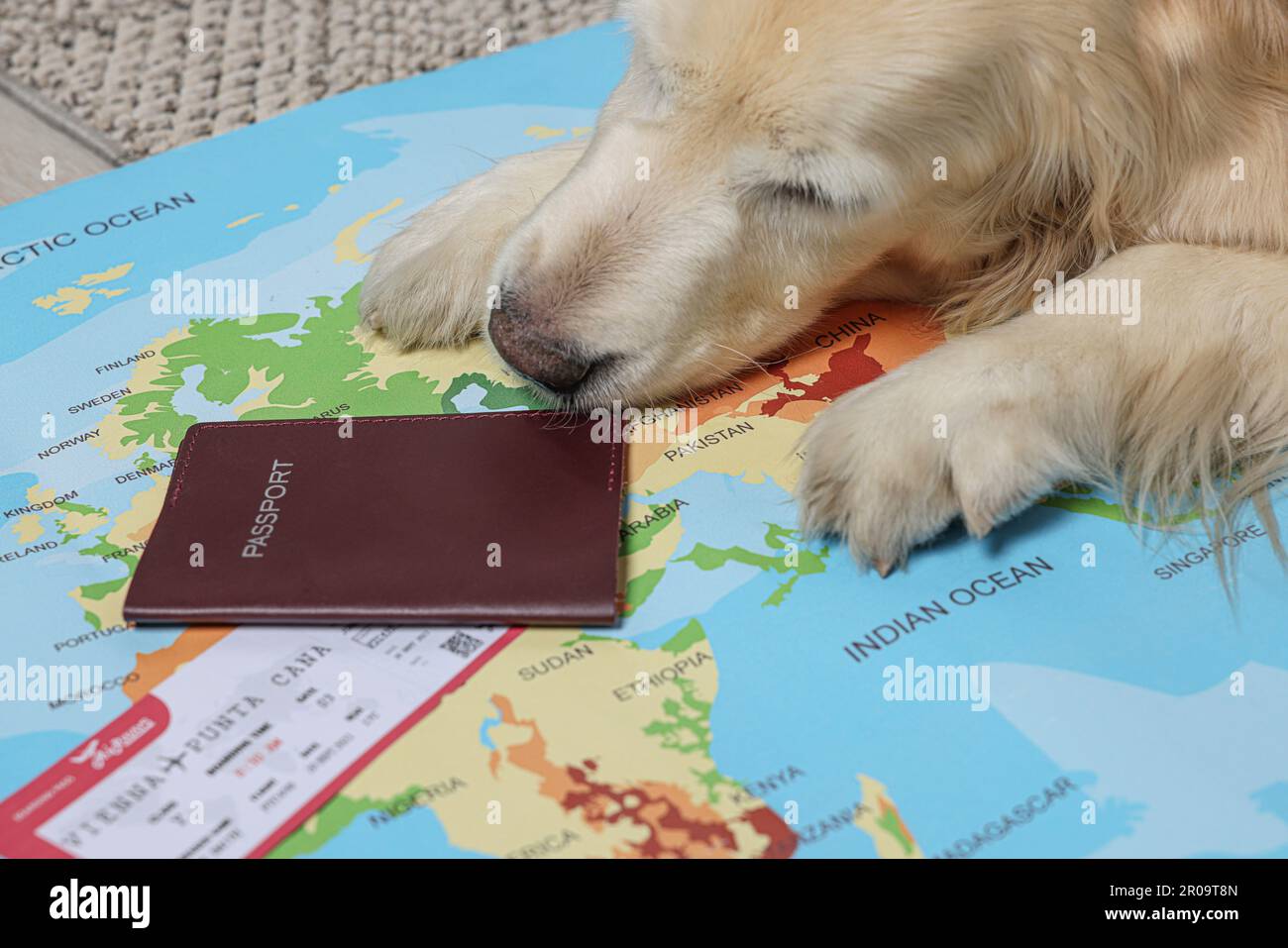 Dog lying near passport and ticket on world map, closeup. Travelling ...