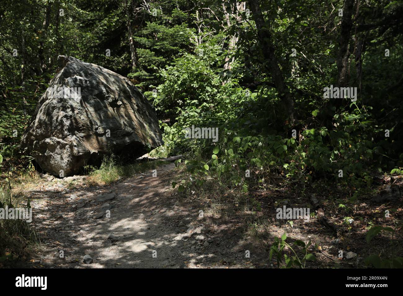 Path through mountain hi-res stock photography and images - Alamy