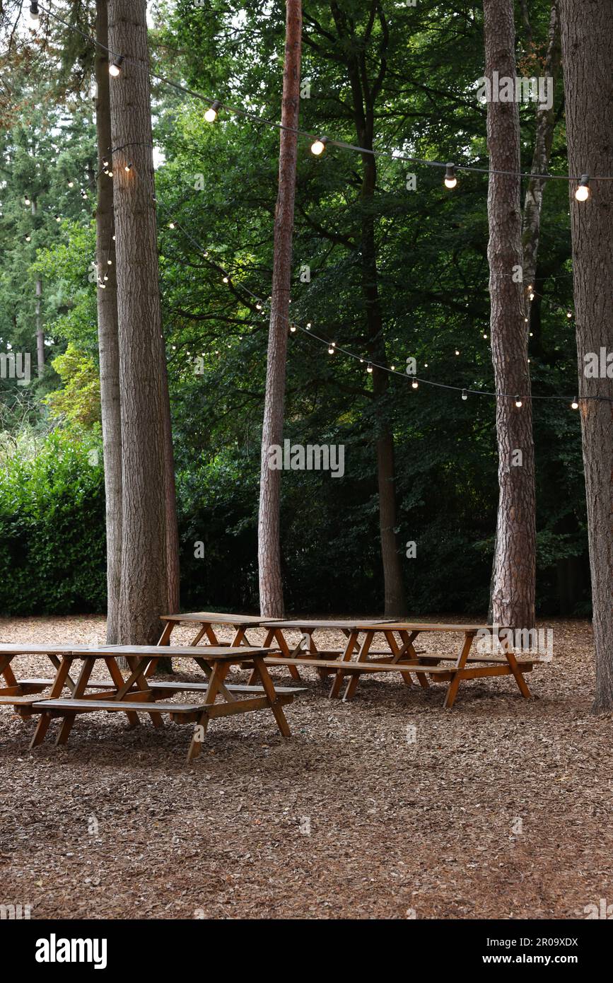 Wooden benches and tables in forest. Recreation area Stock Photo - Alamy