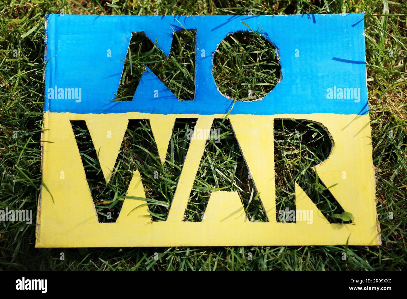 Poster in colors of Ukrainian flag with words No War on green grass ...
