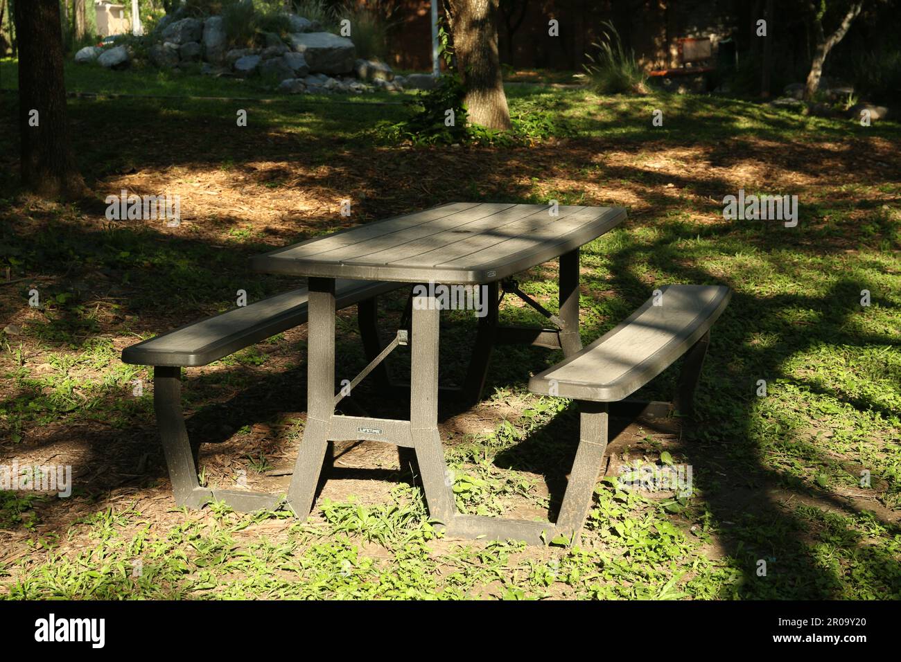 Empty wooden picnic table with benches in park on sunny day Stock Photo ...