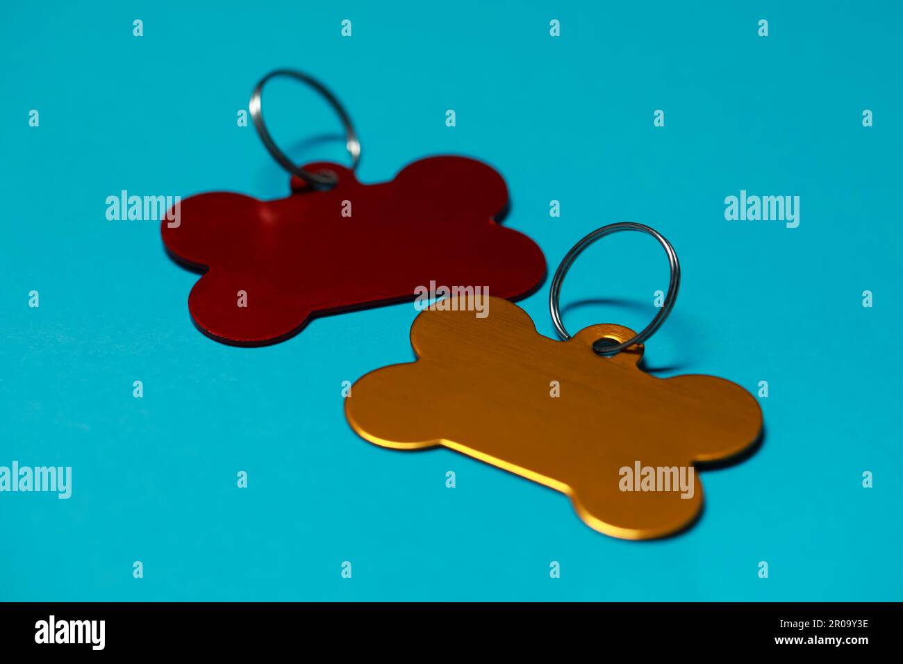Color metal pet tags with ring on light blue background, closeup. Space ...