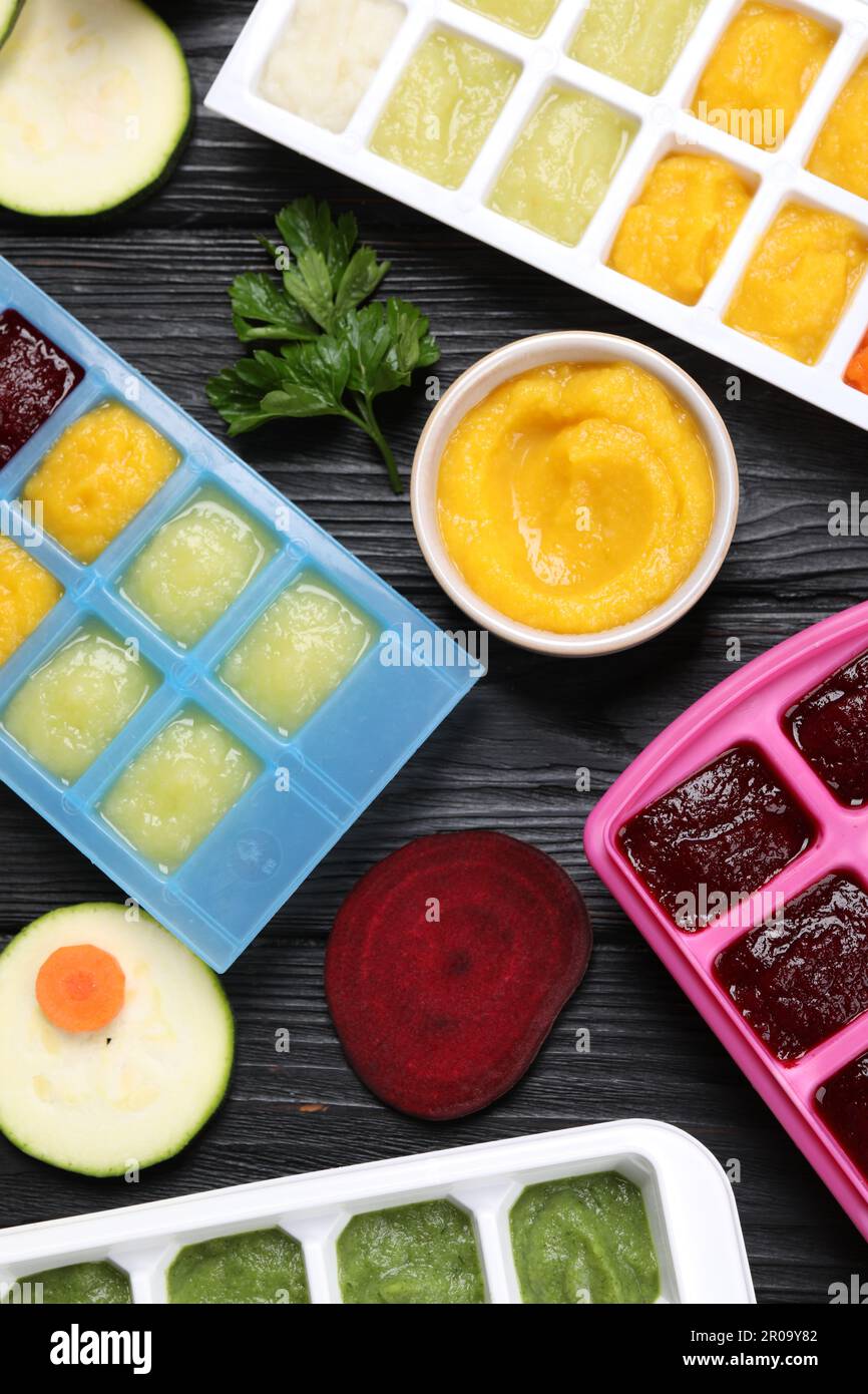 Different frozen purees in ice cube trays and ingredients of black ...
