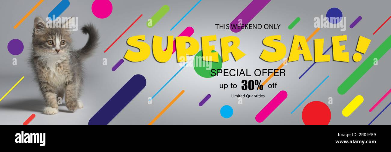 Advertising poster Pet Shop SALE. Cute cat and discount offer on light ...