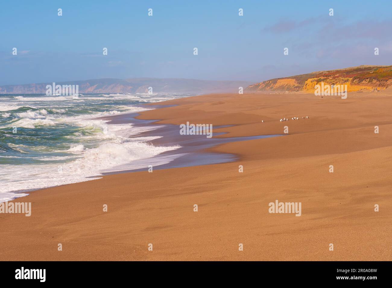 Lonely Beach on a Remote Coast in Point Reyes National Seashore in ...
