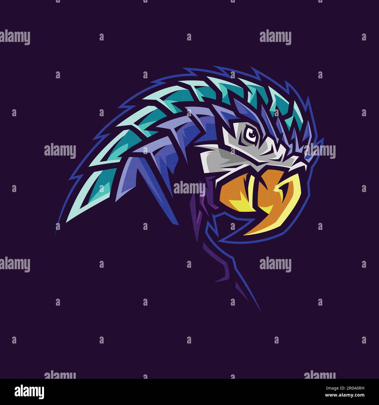 Parrot fly hi-res stock photography and images - Alamy