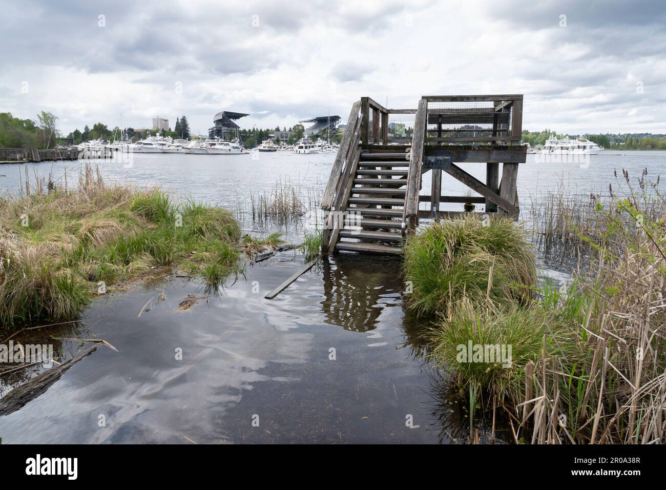 A viewing platform along the flooded Arboretum Waterfront Trail is ...