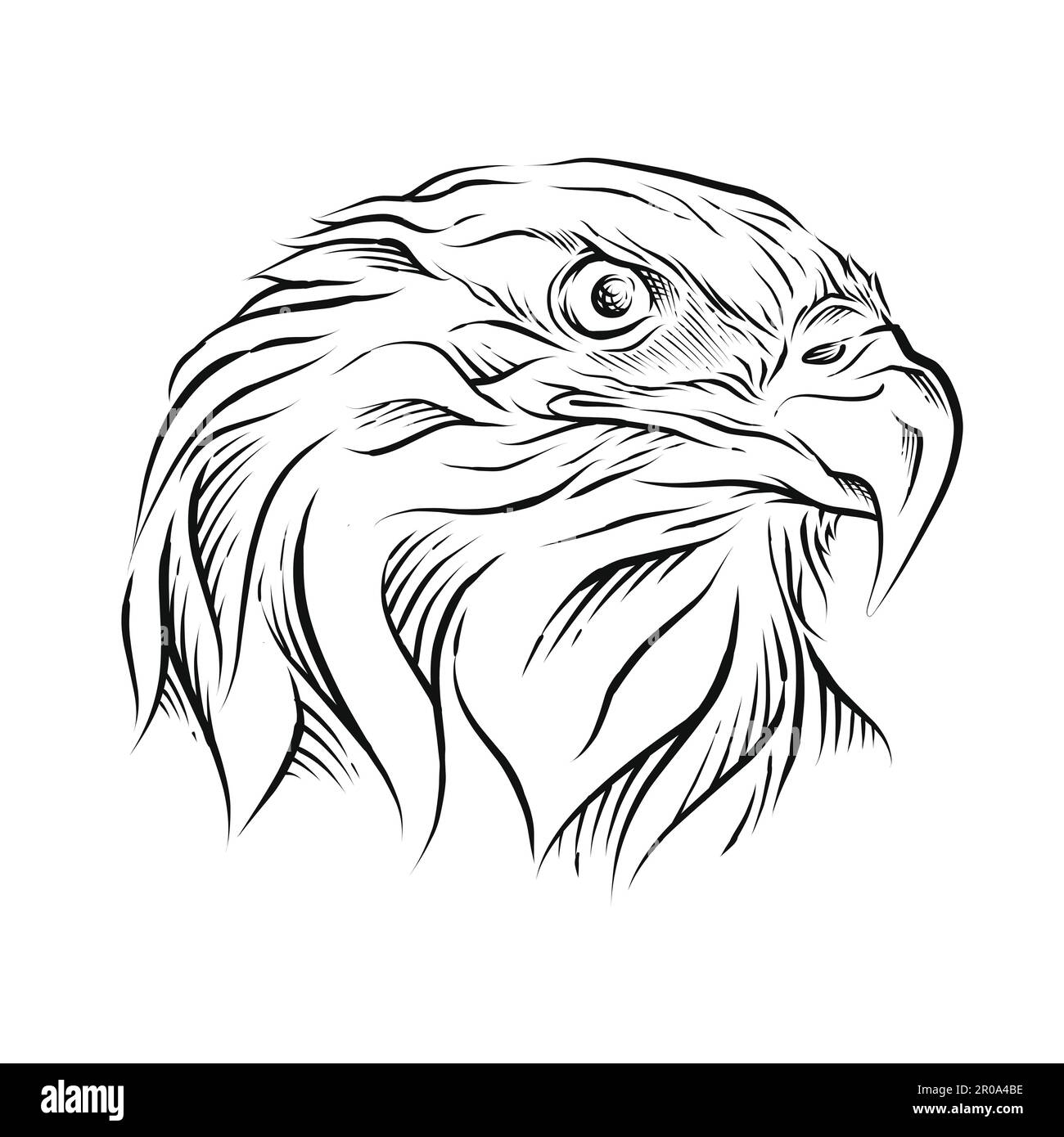 Eagle Vector Illustration Stock Vector Image And Art Alamy